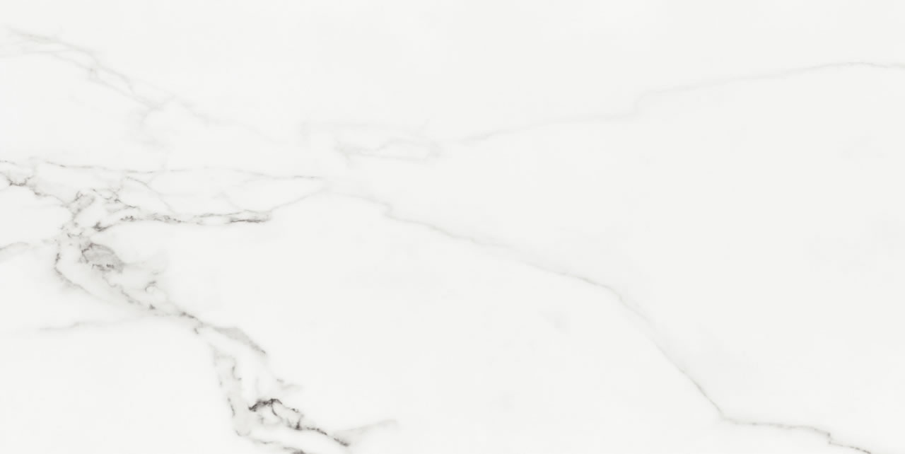 CARRARA POL 59X118,2 | Portoalpha
